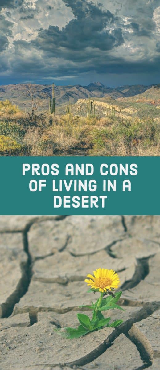 Pros and Cons of Living in a Desert - Freedom Residence