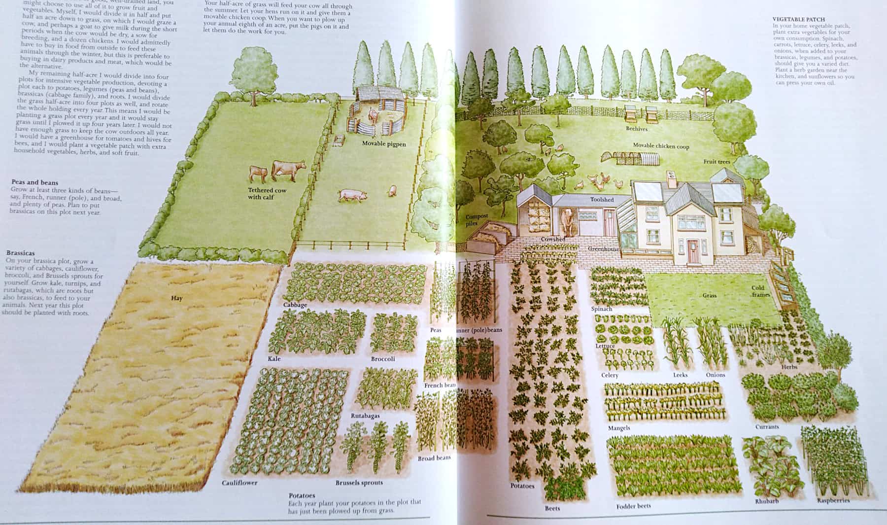 The Self-Sufficient Life and How to Live It: Book Review - Freedom ...