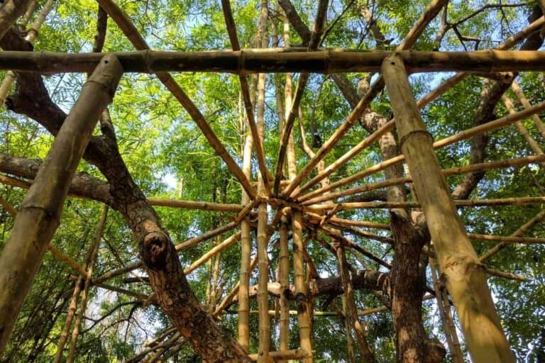 What Material is a Treehouse Made of? - Freedom Residence