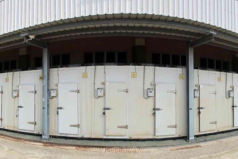 10 Ways To Make Money On 100 Acres Of Land - Freedom Residence