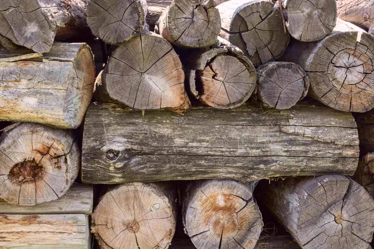 The Ultimate Guide to Firewood: Types, Preparation, and Storage ...