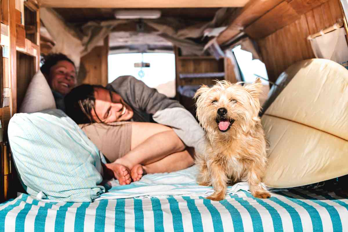 Is Living In A Van Dangerous? A Stay-Safe Guide - Freedom Residence