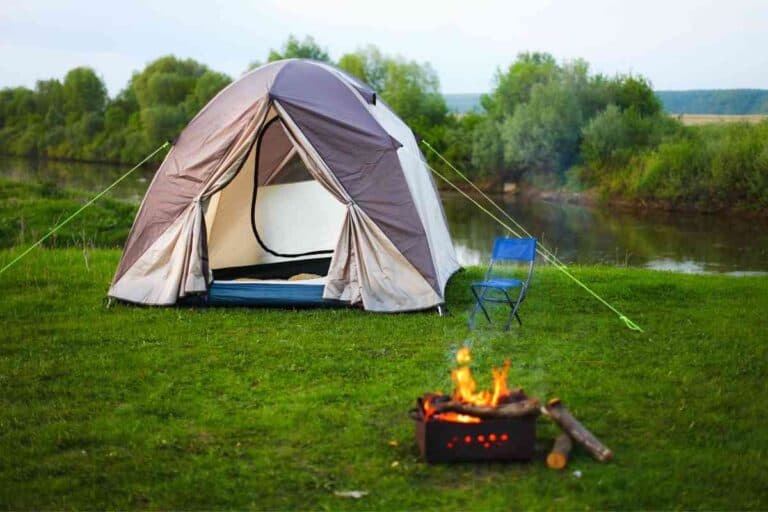 8 Ways To Keep Snakes Out Of Your Campsite - Freedom Residence