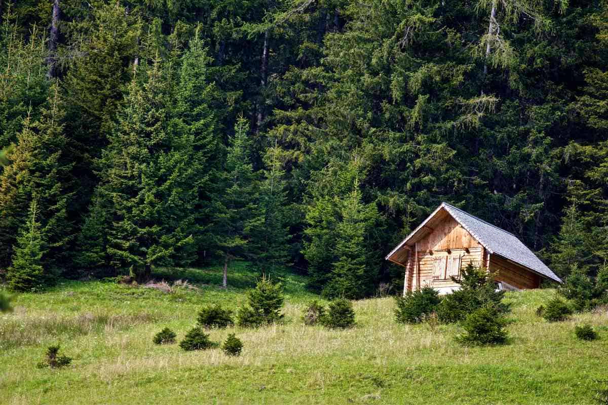 Building A House On Hunting Land: Zoning & Regulations Explained ...