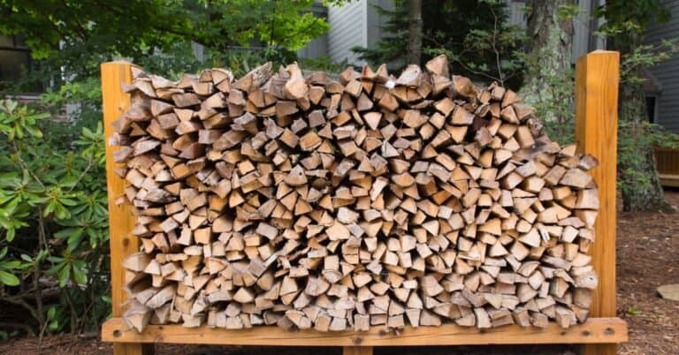 The Ultimate Guide to Firewood: Types, Preparation, and Storage ...