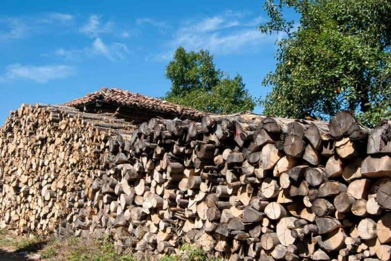 How Long Does It Take To Season Oak Before You Can Burn It? - Freedom ...