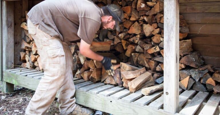 The Ultimate Guide to Firewood: Types, Preparation, and Storage ...