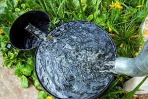 Cabin Water Systems: A Comprehensive Guide - Freedom Residence