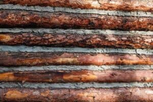 Log Cabin Types: A Comprehensive Guide to Choosing the Right One for ...