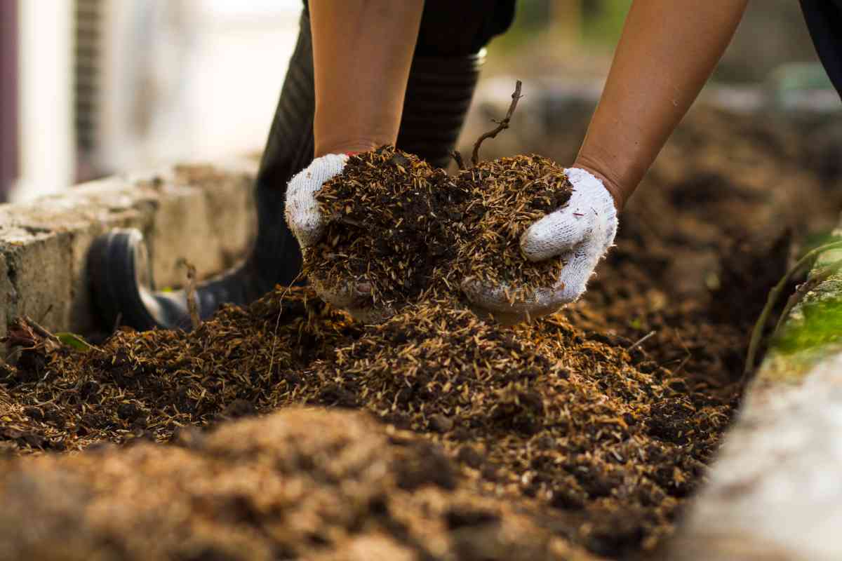 How to Make Super Compost: A Step-by-Step Guide - Freedom Residence